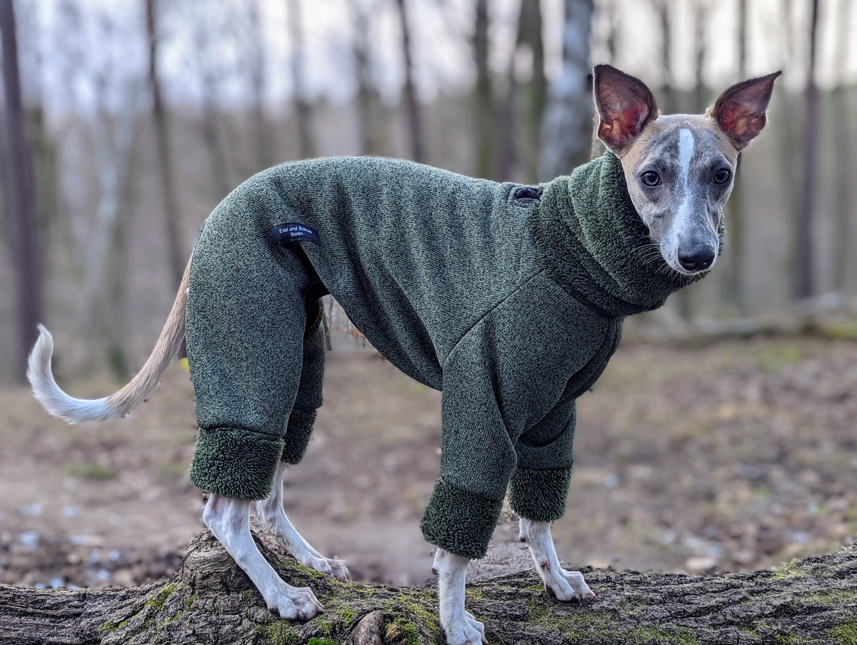 Overall für Hunde mit breiter Brust und schmaler Taille - Doppelt ...
